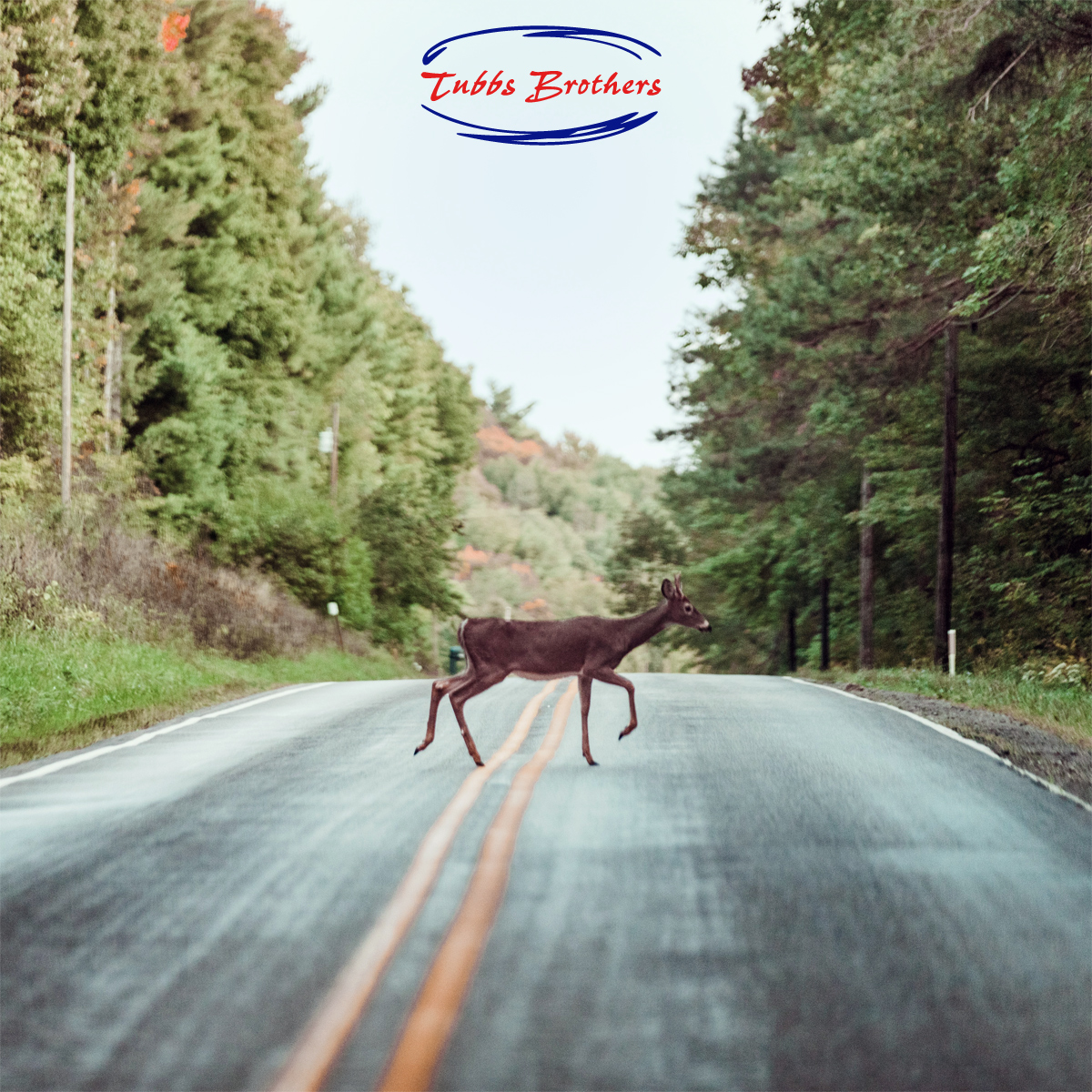 Deer Hit Headquarters – Tubbs Brothers, Inc Blog